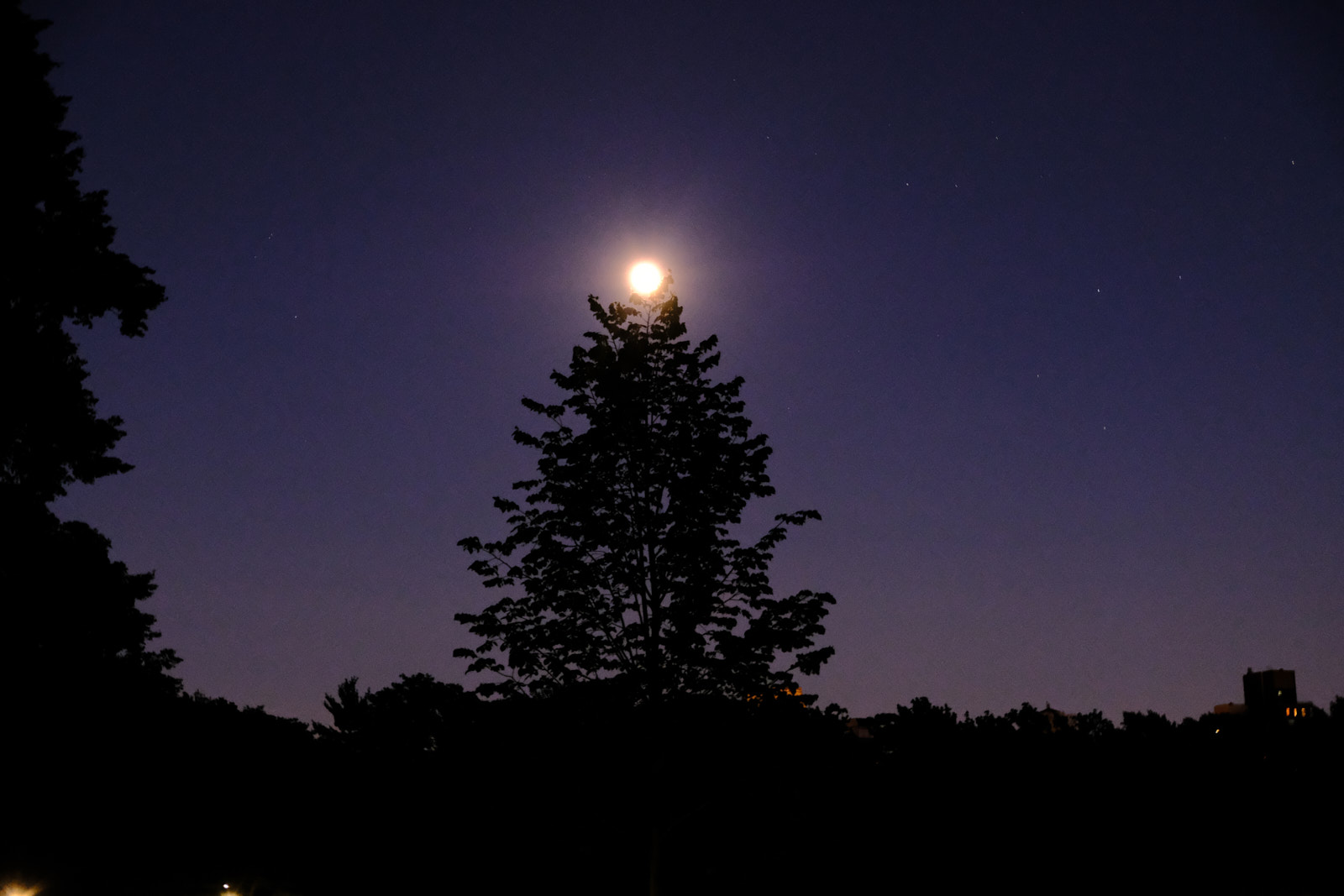 Saturday -Moon – I May Be Happy